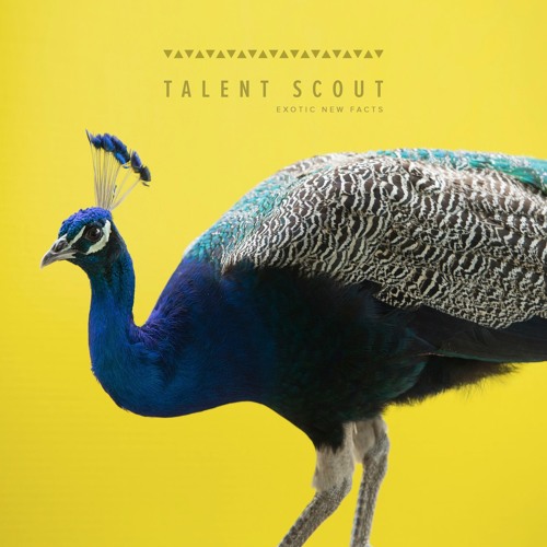 Stream Talent Scout music | Listen to songs, albums, playlists for free ...
