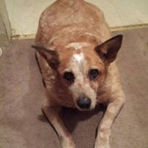 Stream Larry Sankey music | Listen to songs, albums, playlists for free ...