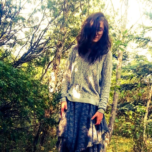 Stream A Pheasant on Deer Mountain by Kevin Paul read by Raine Sillito by Raine Sillito | Listen ...