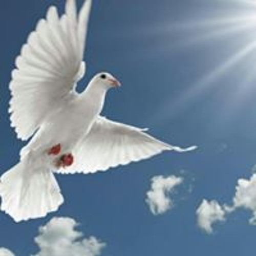 Stream Dimitrius Reyna Cannon music | Listen to songs, albums ...