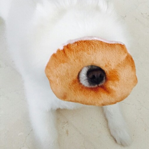 Stream Strawberrypan Listen To Keyshia Cole Heaven Sent Playlist