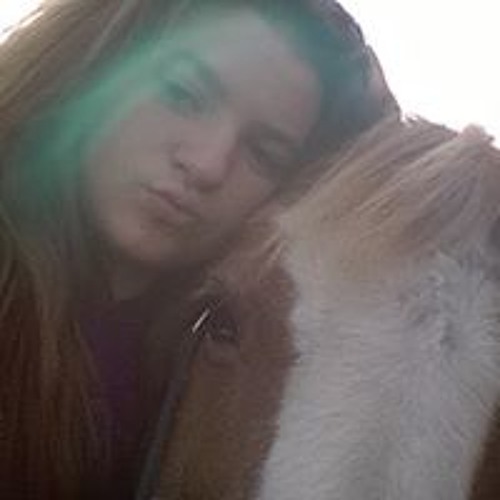 Stream Caitlin McIntyre music | Listen to songs, albums, playlists for ...