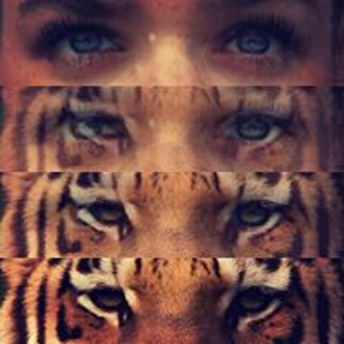 Stream Ashley Knipping music | Listen to songs, albums, playlists for ...