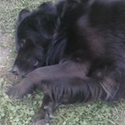 Stream Brody Cameron music | Listen to songs, albums, playlists for ...