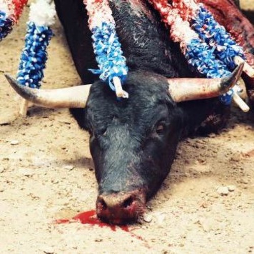 Stream Dead Matadors music | Listen to songs, albums, playlists for ...