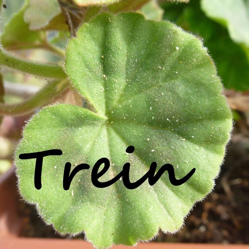 Stream One Second by Trein | Listen online for free on SoundCloud