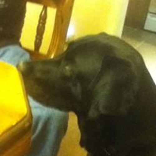 Stream Bryan Kohl music | Listen to songs, albums, playlists for free ...