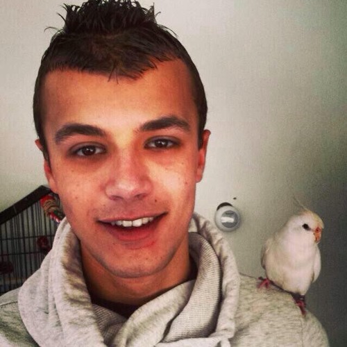 Stream Maarten Betris | Listen to ismo playlist online for free on ...