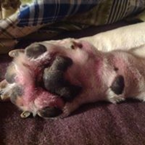 Stream Rachel Baldwin-Matz music | Listen to songs, albums, playlists ...