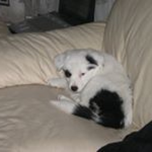 Stream Angelo Stevens music | Listen to songs, albums, playlists for ...