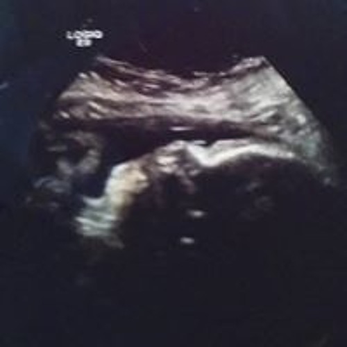 Stream Crystal Mcneely music | Listen to songs, albums, playlists for ...