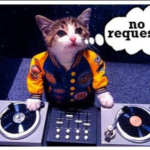 Stream Lea the Cat music | Listen to songs, albums, playlists for free ...