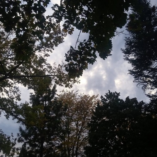 Stream Andrew Buckmaster music | Listen to songs, albums, playlists for ...