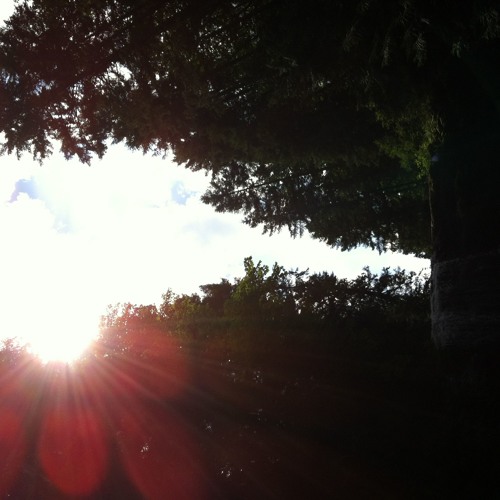 Stream Joe Choice music | Listen to songs, albums, playlists for free ...