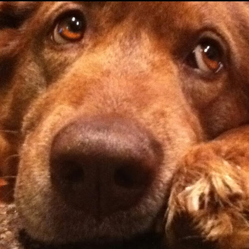 Stream Jack McCafferty music | Listen to songs, albums, playlists for ...