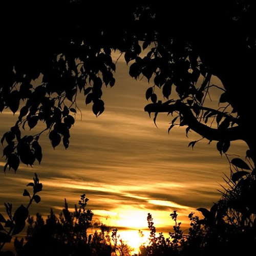 Stream Nick Wilding music | Listen to songs, albums, playlists for free ...