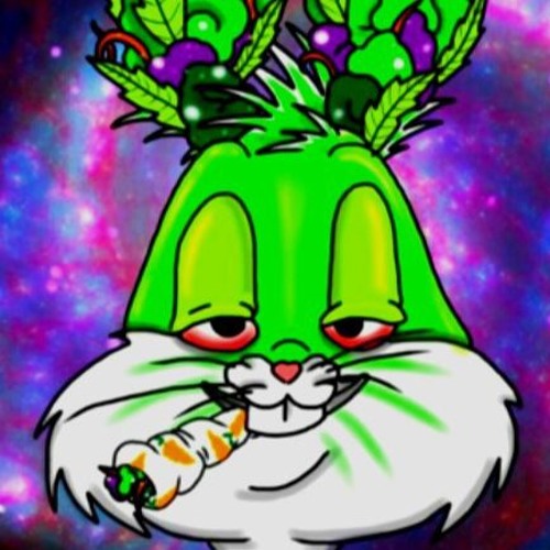 Stream Buds Bunny music | Listen to songs, albums, playlists for free ...