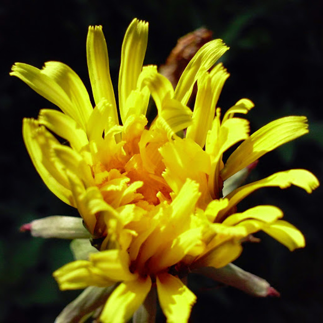 Stream Holly Koll music | Listen to songs, albums, playlists for free ...