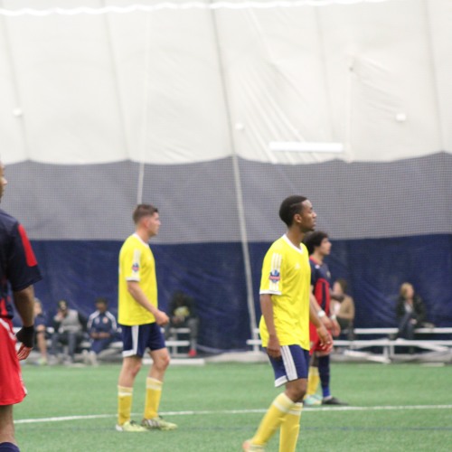 Stream Dawit Tekie music | Listen to songs, albums, playlists for free ...