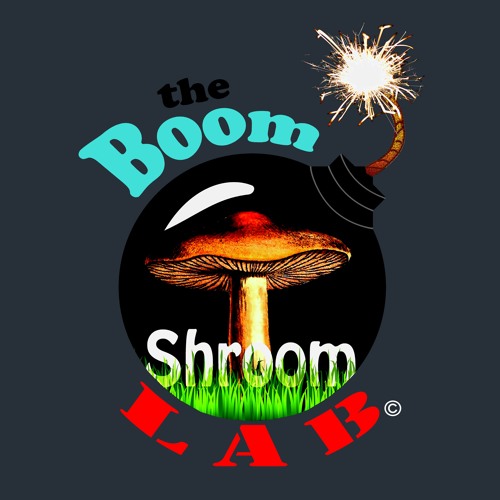 Stream BOOM SHROOM RADIO music | Listen to songs, albums, playlists for ...