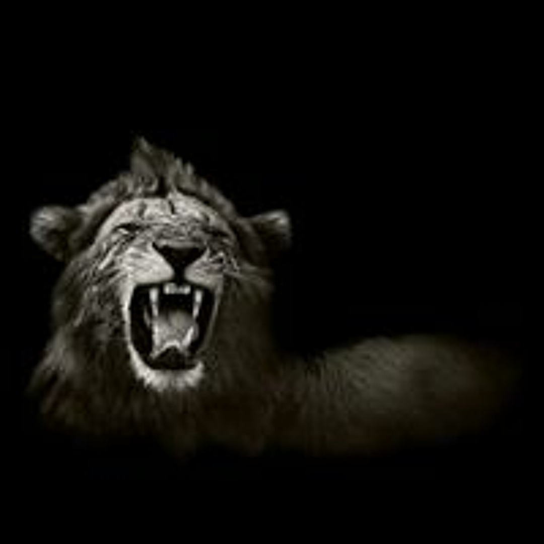 Stream Dasdasdasdas Dasdasdas music | Listen to songs, albums ...