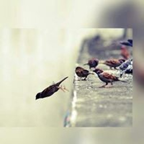 Stream levon_minassian_armand_amar_ar_intch_lav_er_mp3_46560.mp3 by ...