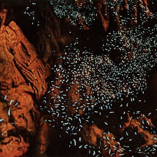 Stream jason calhoun music | Listen to songs, albums, playlists for ...