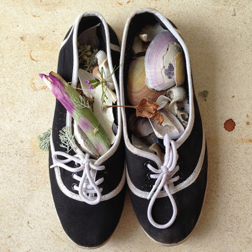 Stream Andrea Broom music | Listen to songs, albums, playlists for free ...