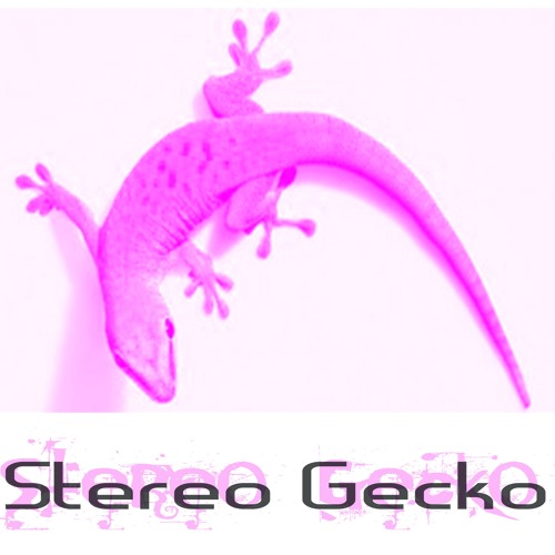 Stream Stereo Gecko music | Listen to songs, albums, playlists for free ...