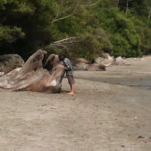 Stream Fisk music | Listen to songs, albums, playlists for free on ...