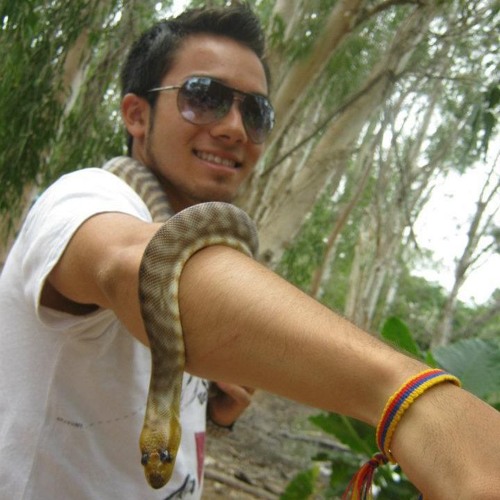 Stream Show Me Love feat. Doug Harrison on vox by Seth Larsen | Listen ...