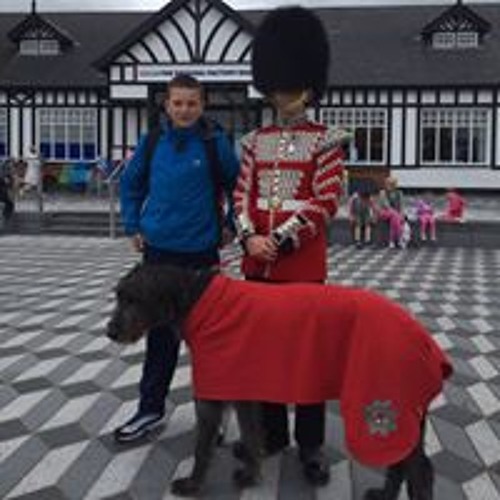 Stream Curtis Buckley music | Listen to songs, albums, playlists for ...