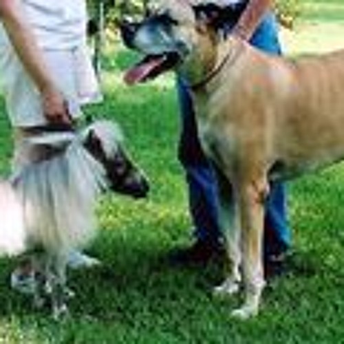 Stream Blue Eyes by Hamish Tildesley | Listen online for free on SoundCloud