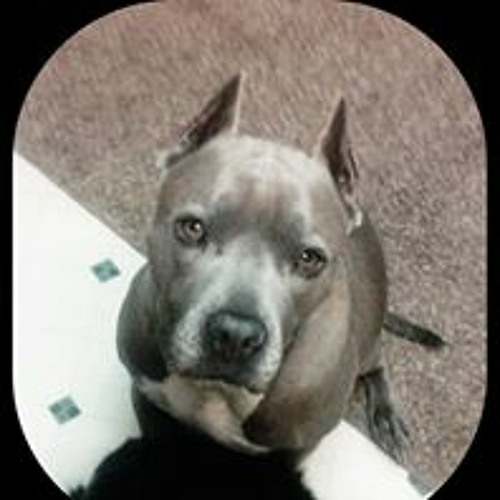 Stream Laura Blume music | Listen to songs, albums, playlists for free ...