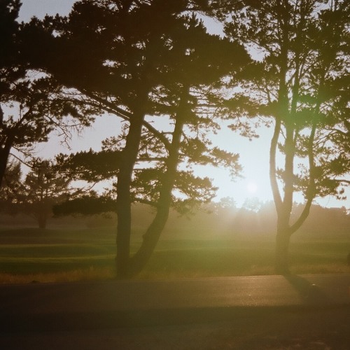 Stream inca gunter music | Listen to songs, albums, playlists for free ...