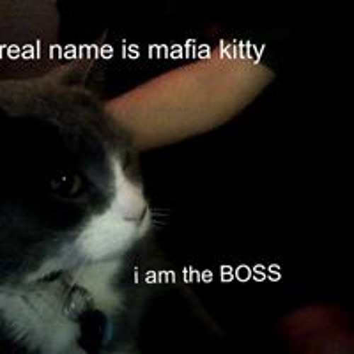 Stream Hunter Masich music | Listen to songs, albums, playlists for ...