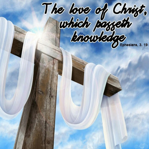 Stream Mike Torres (the angle) music | Listen to songs, albums ...