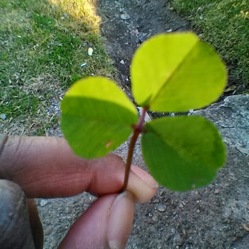 Stream Malika G music | Listen to songs, albums, playlists for free on ...