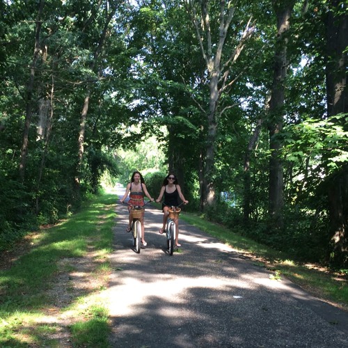 Stream Anika Levy music | Listen to songs, albums, playlists for free ...