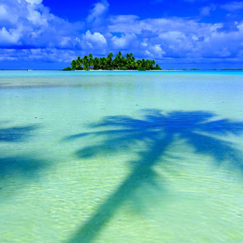 Stream Ivan Camacho music | Listen to songs, albums, playlists for free ...