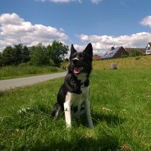 Stream frax music | Listen to songs, albums, playlists for free on ...