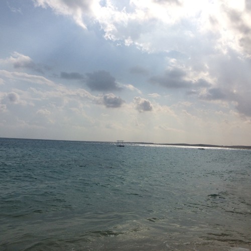 Stream Sarah El Zarka music | Listen to songs, albums, playlists for ...