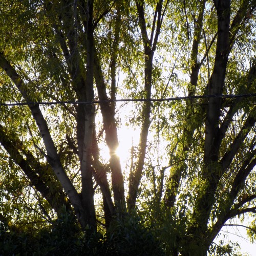 Stream Matthew Pearse music | Listen to songs, albums, playlists for ...