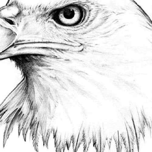 Stream Benaouda faycal bey music | Listen to songs, albums, playlists ...