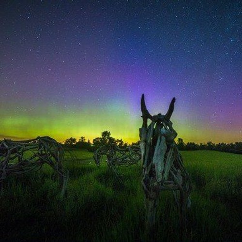 Stream Kevin Willison music | Listen to songs, albums, playlists for ...