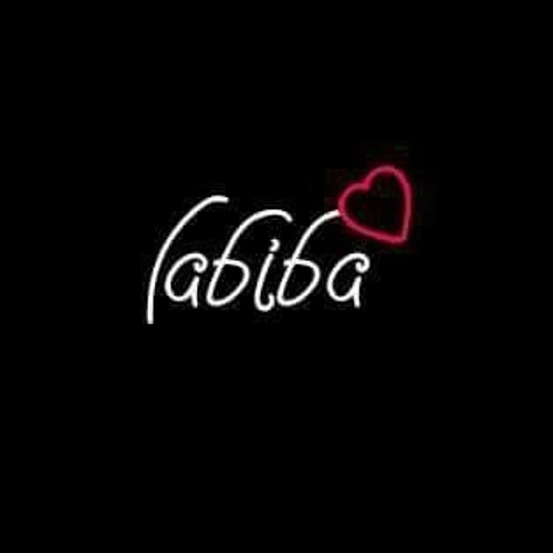 Stream Eng Labiba music | Listen to songs, albums, playlists for free ...