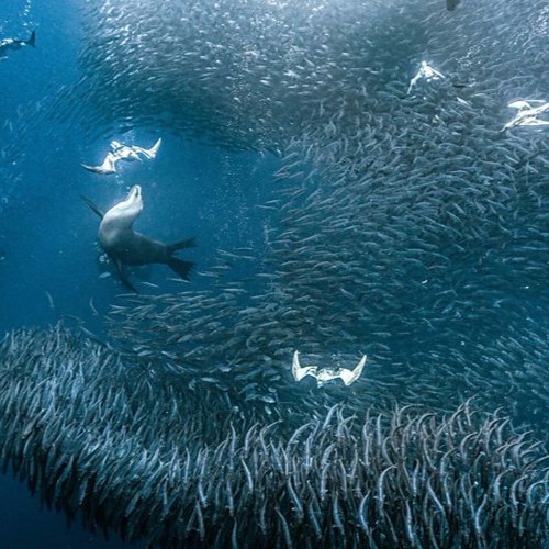 Stream luke spinks music | Listen to songs, albums, playlists for free ...