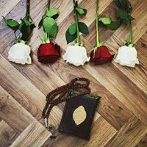 Stream Bosy Shalaby music | Listen to songs, albums, playlists for free ...