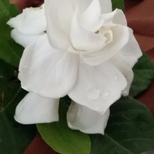 Stream Sana Katkhouda music | Listen to songs, albums, playlists for ...