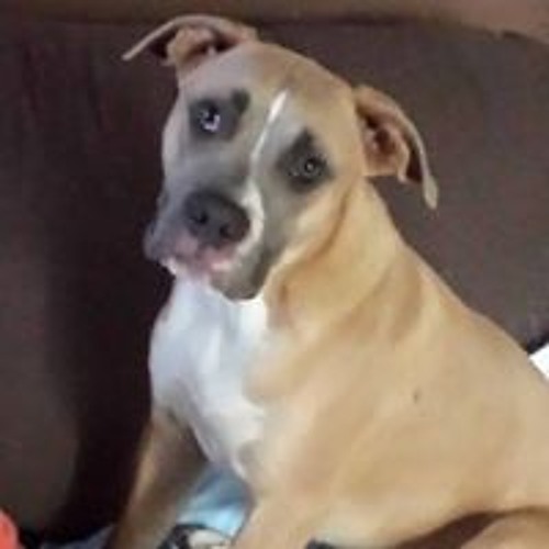 Stream Josephine Curry music | Listen to songs, albums, playlists for ...